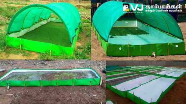 Advantages and Uses of Azolla Beds by Leading Manufacturers