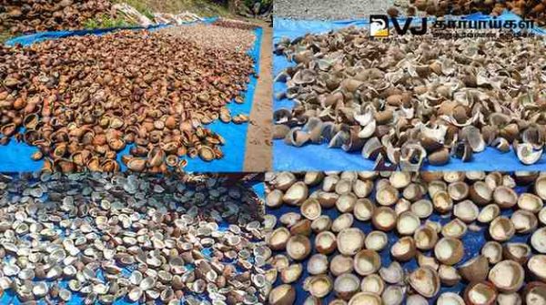 Tarpaulin for Efficient Coconut Drying | Tarpaulin Solutions