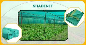 Agro Shade Net | Agriculture Shade Net | Shade Net Manufacturer