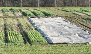 Multilayer Cross Laminated Tarpaulin | PVC Laminated Tarpaulin