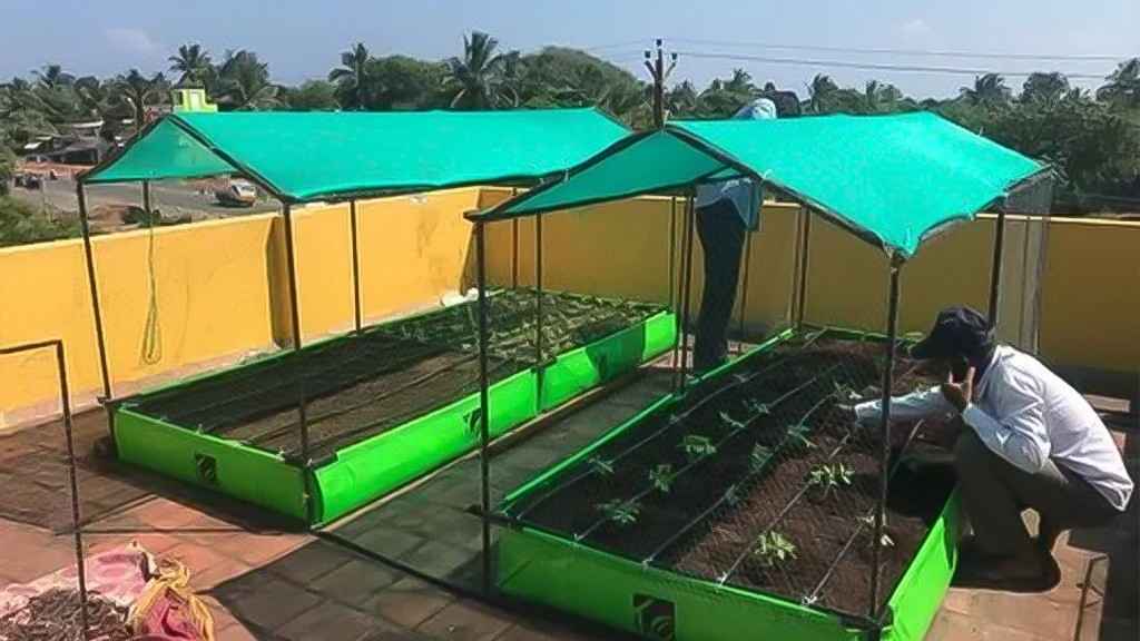 Rooftop Farming: Cultivating Healthy Cities from Above